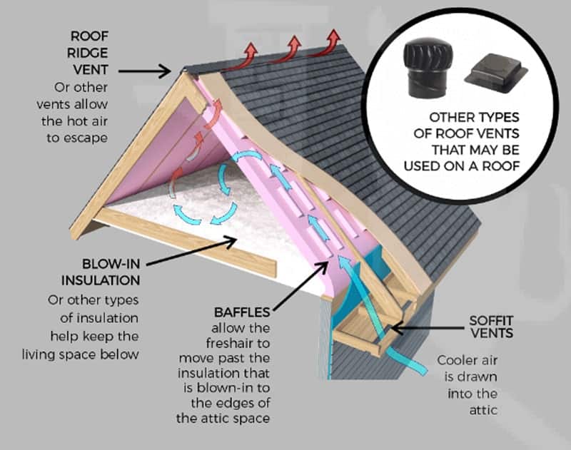 Roof Vents: Common Types & Why They Matter | Anchor Roofing